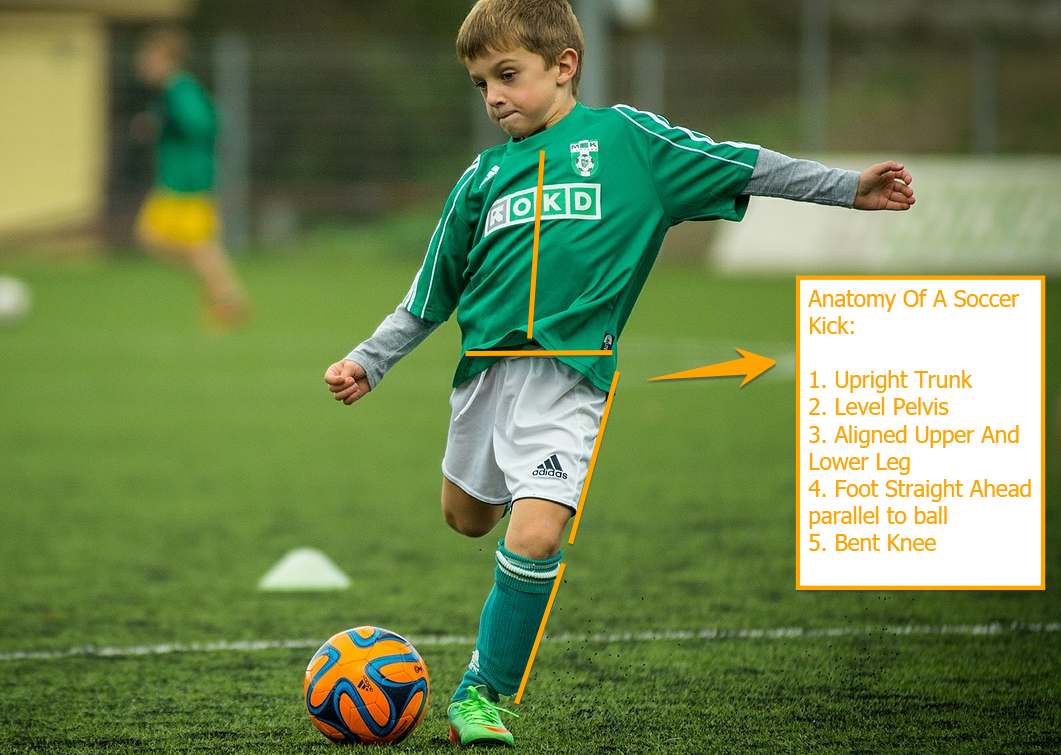 Soccer Ball Sizes by Age Chart (The Official Guide)